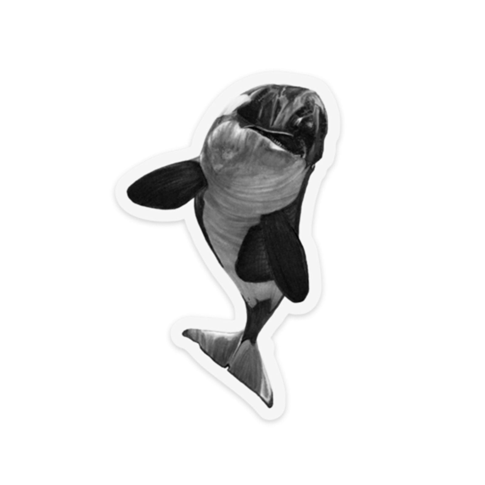 Orca Sticker | Canadian Artist | Pen On Paper Co | Kelowna, BC