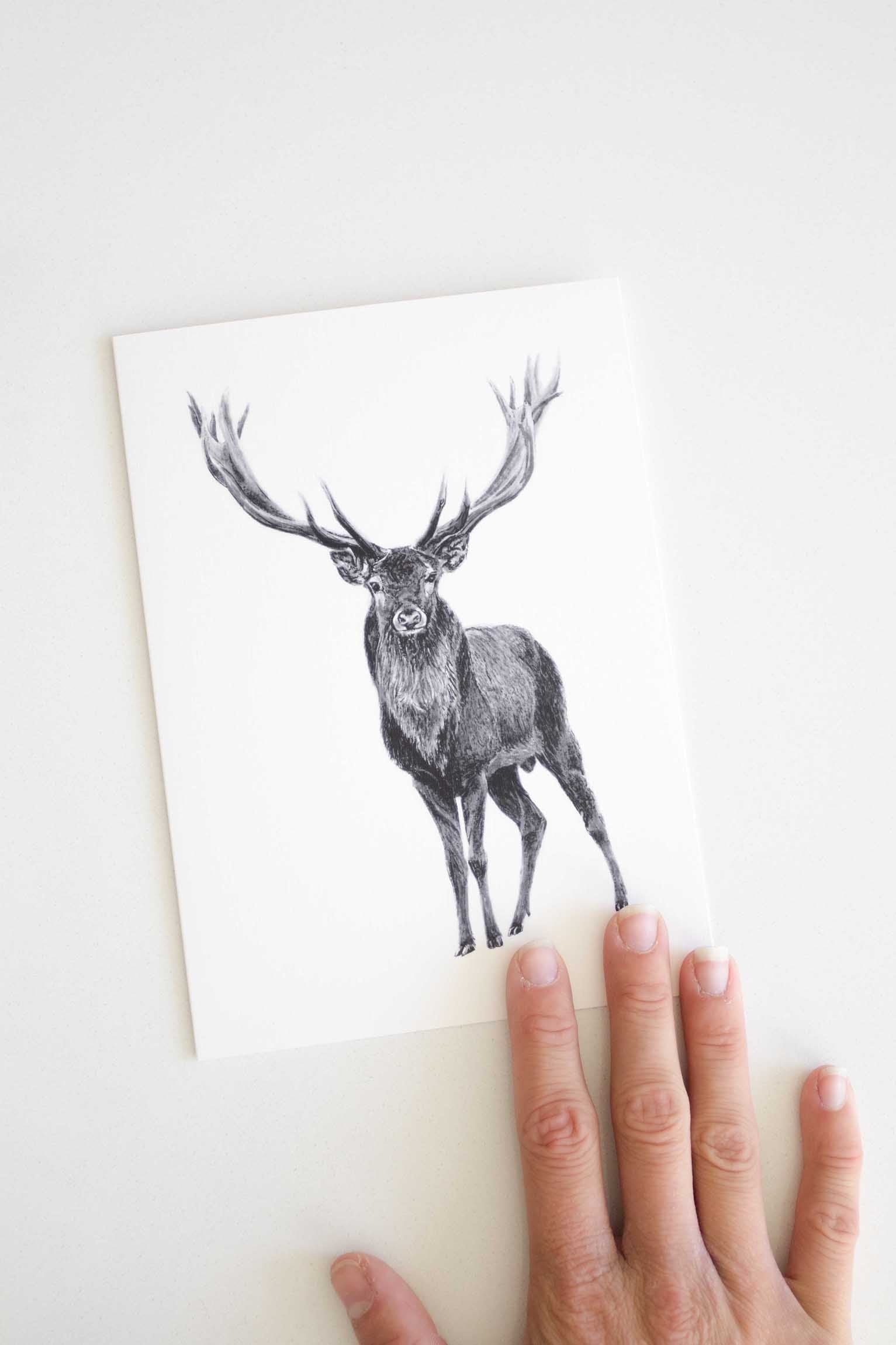 Elk Greeting Card | Canadian Artist | Pen On Paper Co | Art