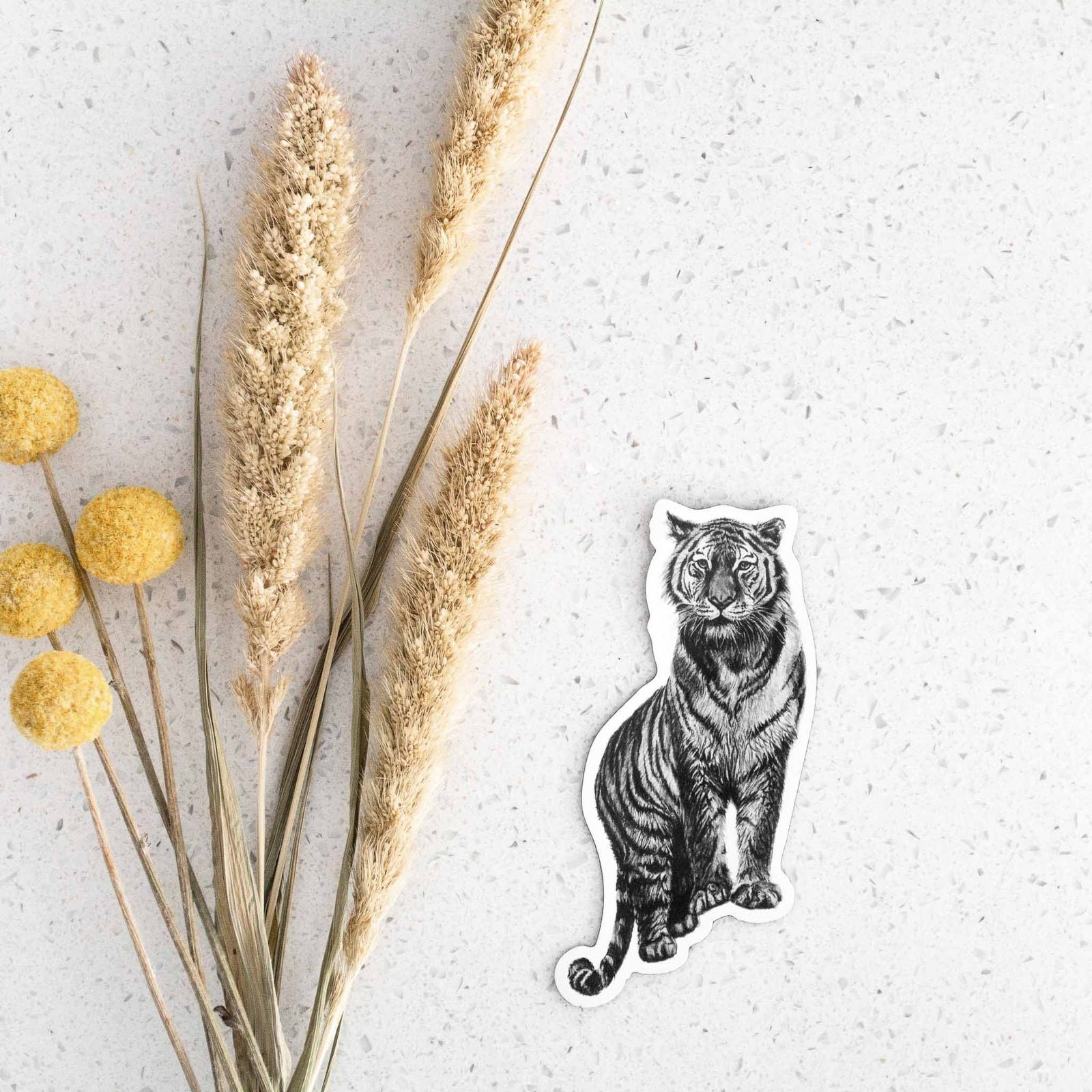 Tiger Magnet | Canadian Artist | Pen On Paper Co | Kelowna