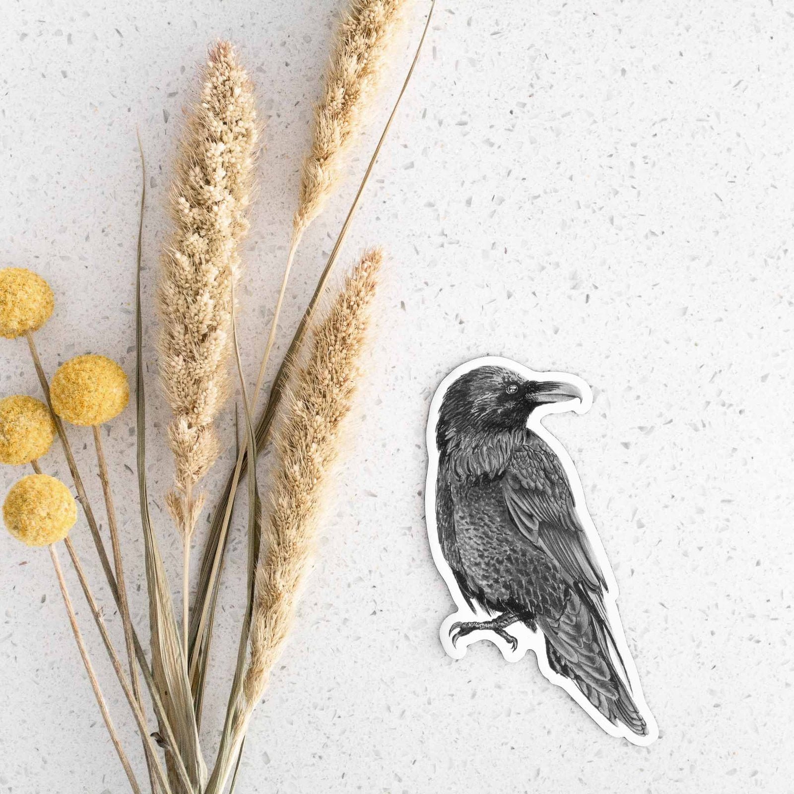 Raven Magnet | Canadian Artist | Pen On Paper Co | Kelowna