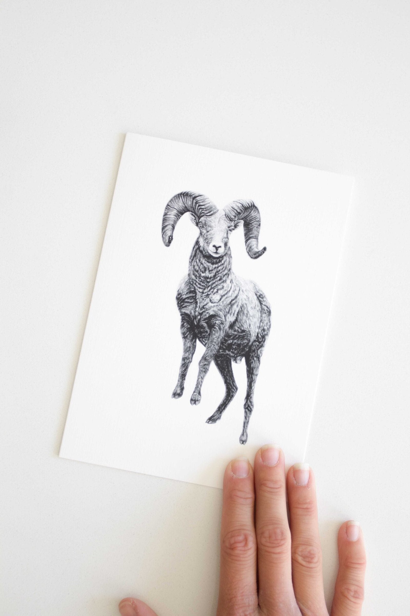 Ram Greeting Card | Canadian Artist | Pen On Paper Co | Art