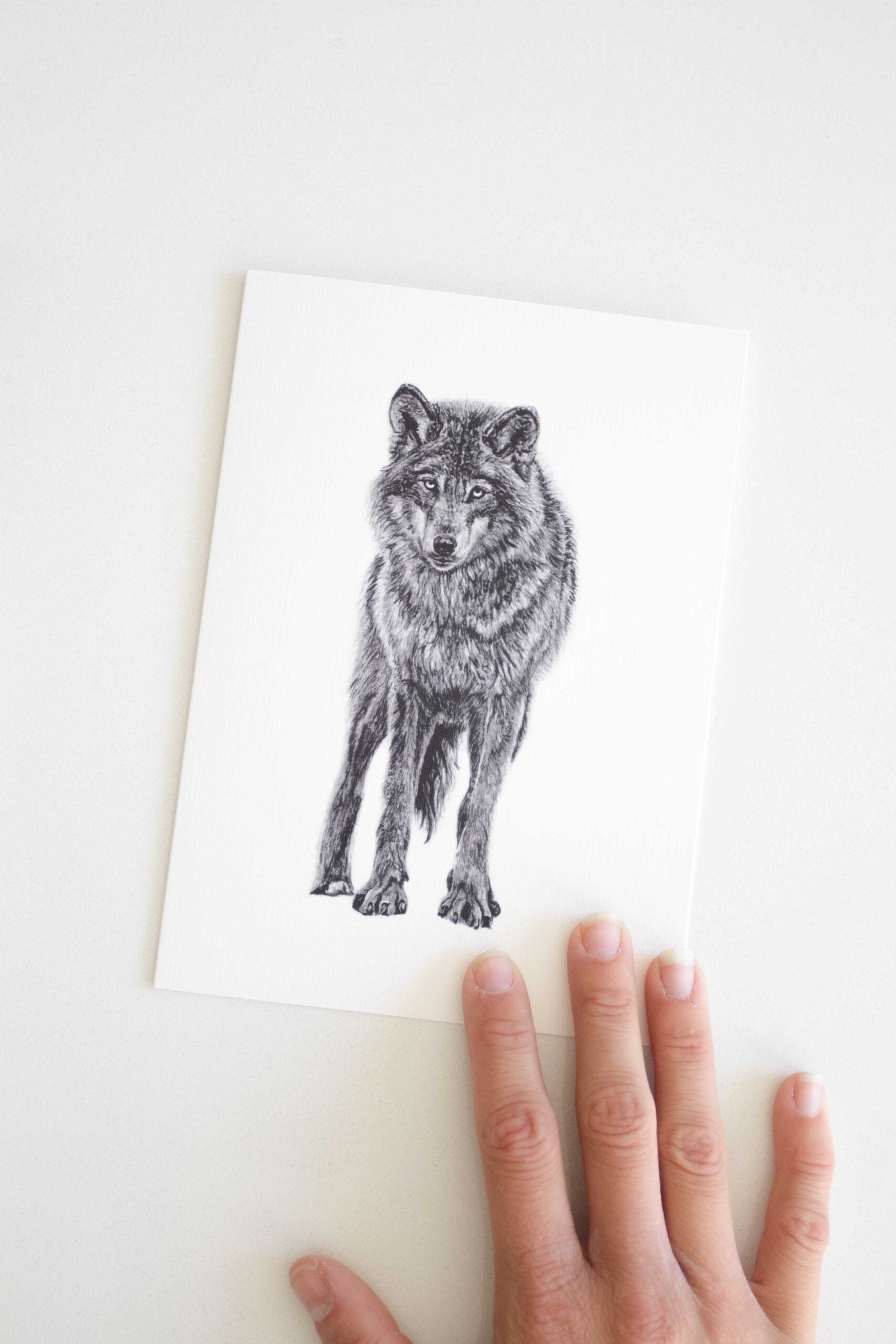 Wolf Greeting Card | Canadian Artist | Pen On Paper Co | Art